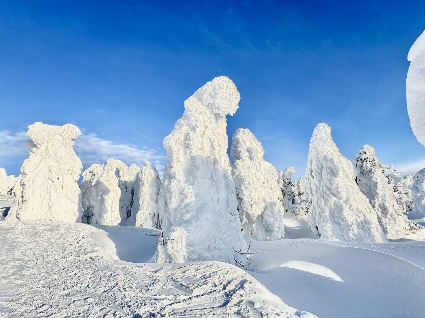 蔵王山(熊野岳)・刈田岳 / nanuankoさんの蔵王山・雁戸山・不忘山の活動データ | YAMAP / ヤマップ