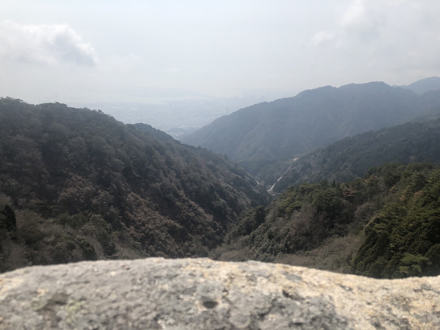 Hiyoさんの投稿したフィールドメモ | YAMAP / ヤマップ