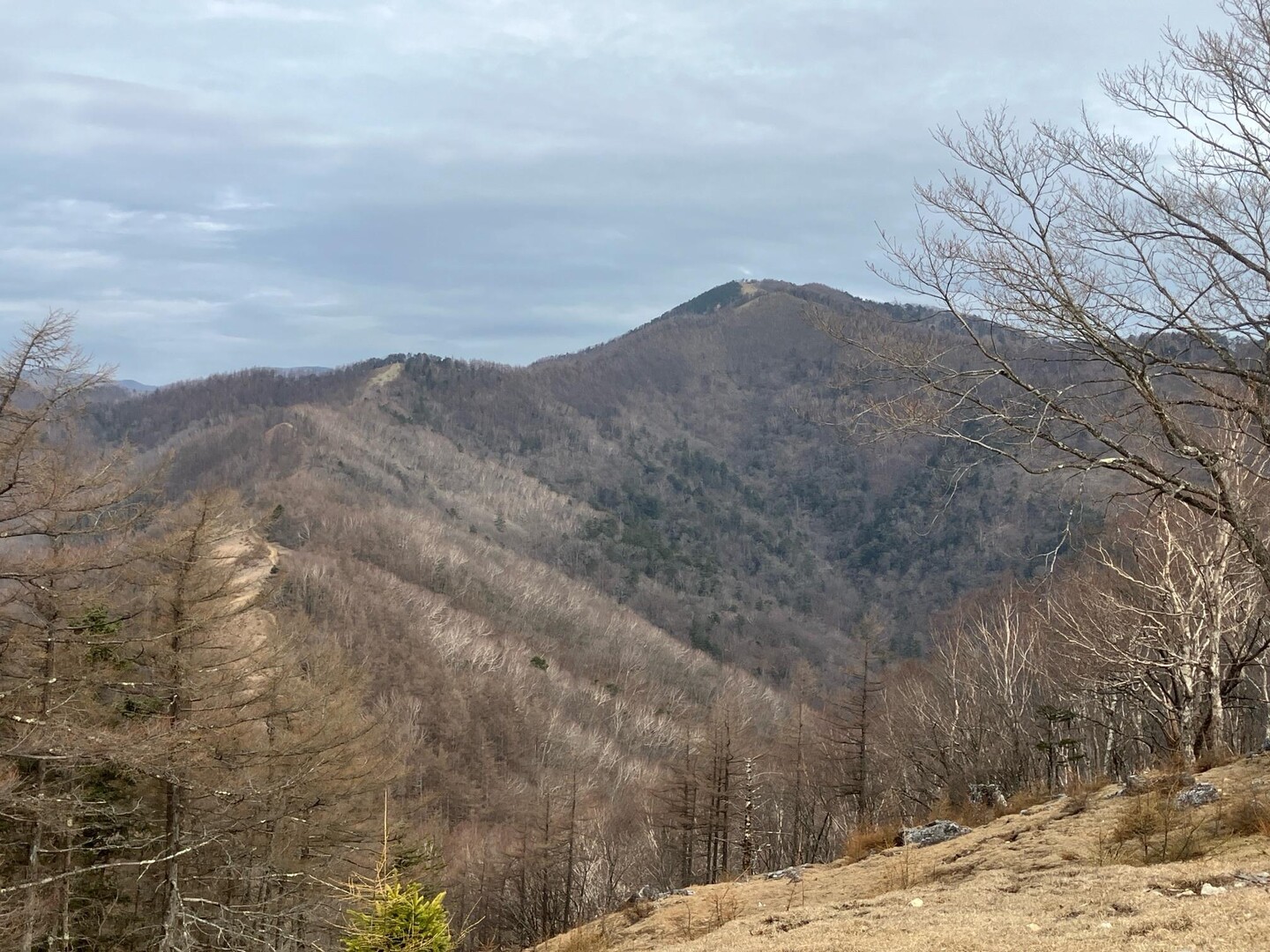 雲取山 - 七つ石を経由 - 三年使ったハイドレが壊れる / aqさんの雲取山・鷹ノ巣山・七ツ石山の活動日記 | YAMAP / ヤマップ