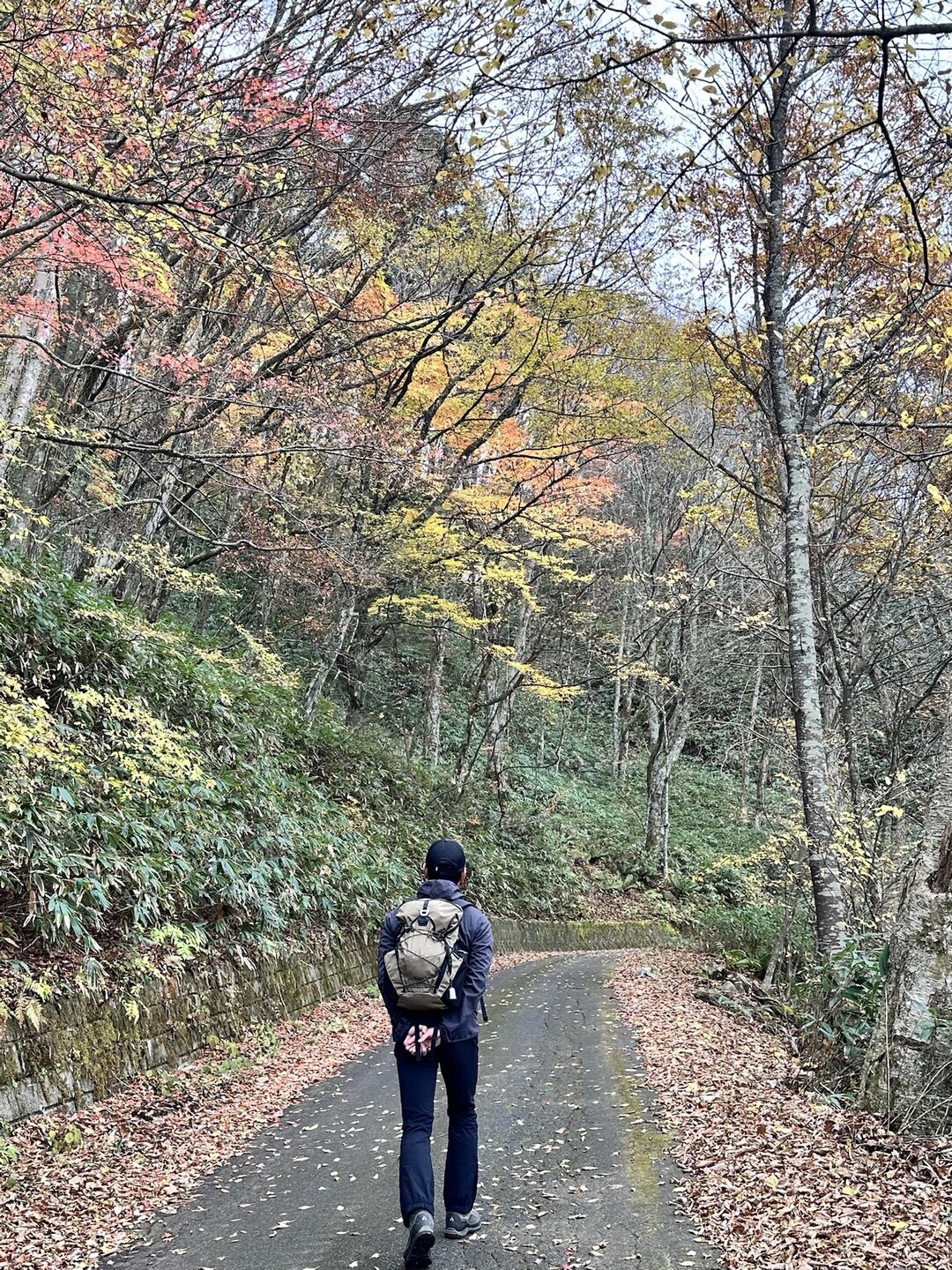 蛇峠山 / shiさんの蛇峠山の活動データ | YAMAP / ヤマップ