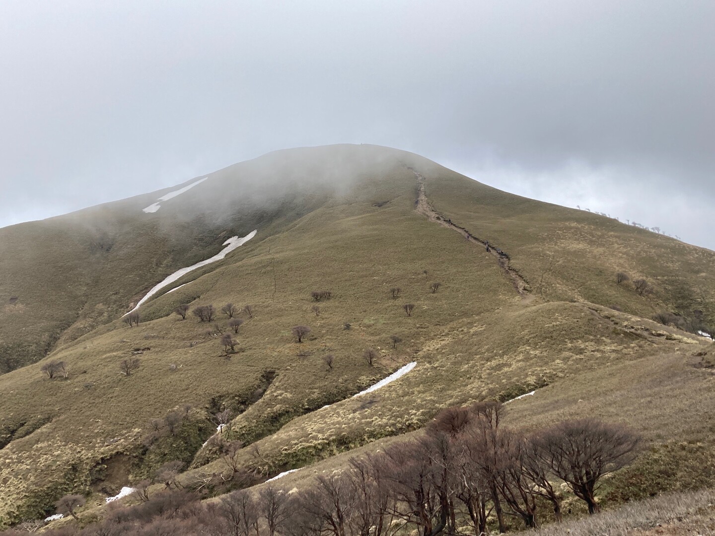 真っ白竜ヶ岳 / panさんの竜ヶ岳の活動データ | YAMAP / ヤマップ