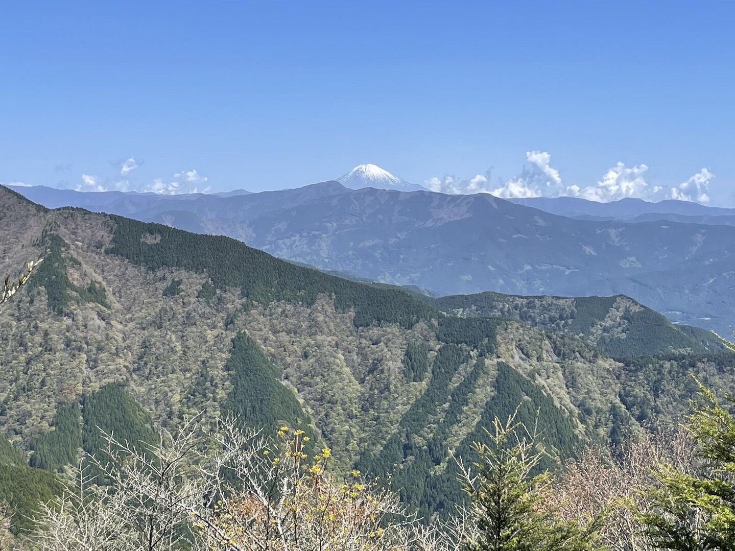 小芋山・三星山 / b_tenさんの大札山・三星山・白羽山の活動データ | YAMAP / ヤマップ