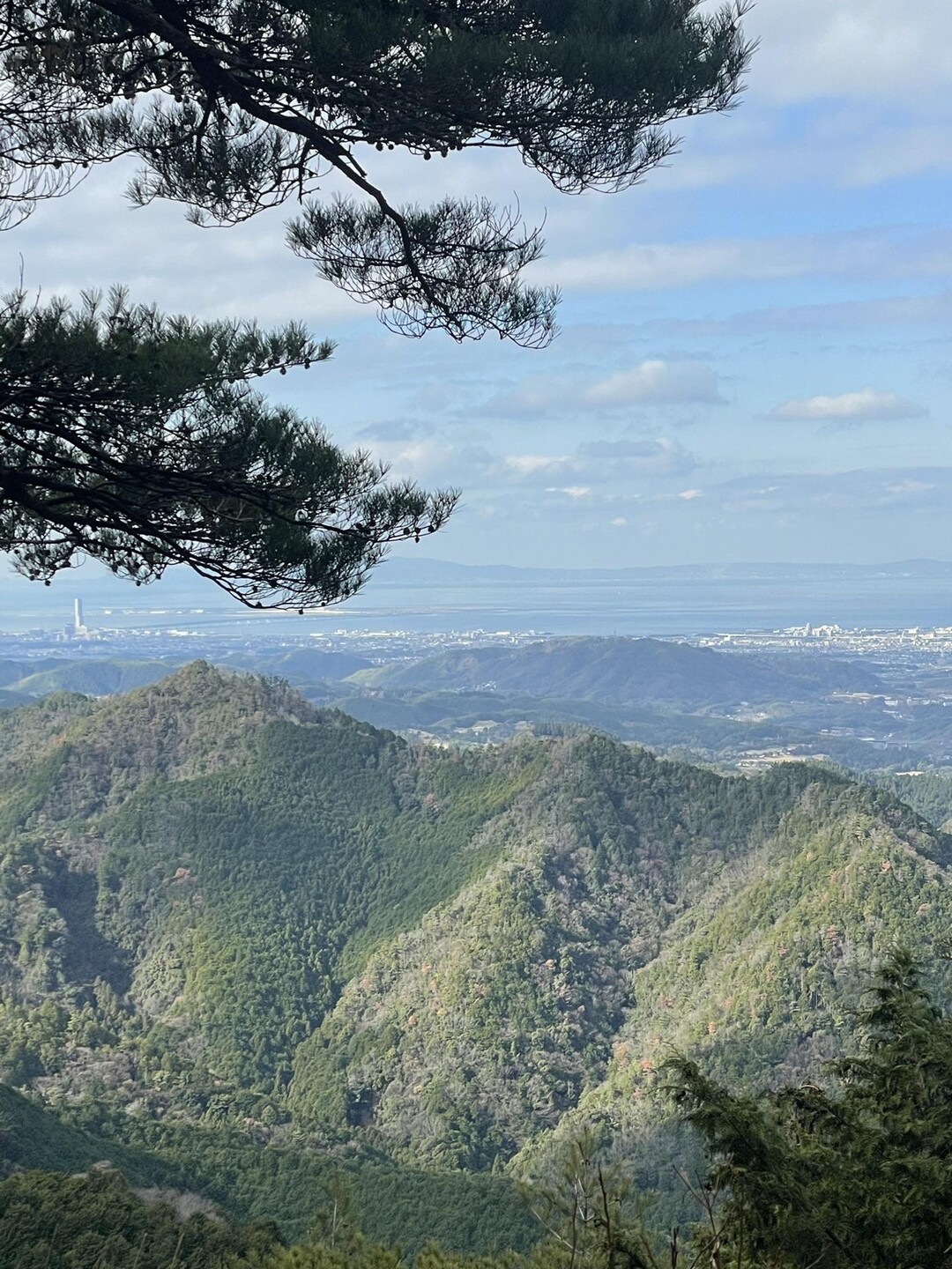槙尾山・奥槙尾山 / Gucci Gucciさんの槇尾山（槙尾山）・和泉葛城山・神於山の活動データ | YAMAP / ヤマップ