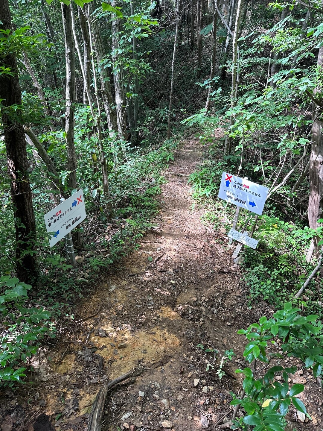 Jangers ジャンガースさんの投稿したフィールドメモ | YAMAP / ヤマップ