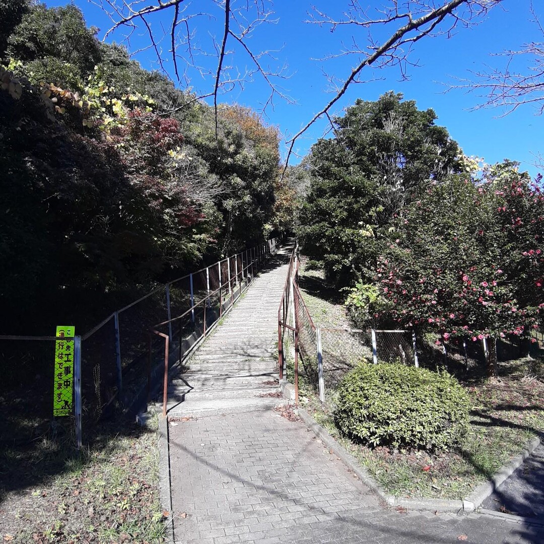 NORさんの投稿したフィールドメモ | YAMAP / ヤマップ