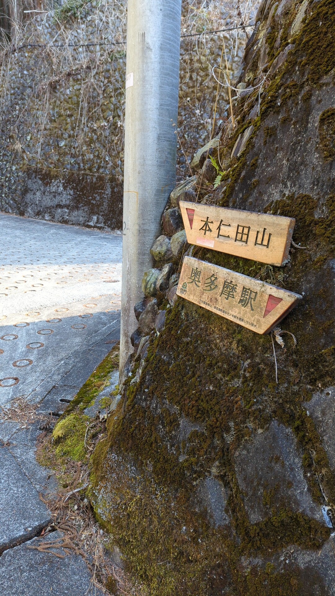 pitoring_さんの投稿したフィールドメモ | YAMAP / ヤマップ