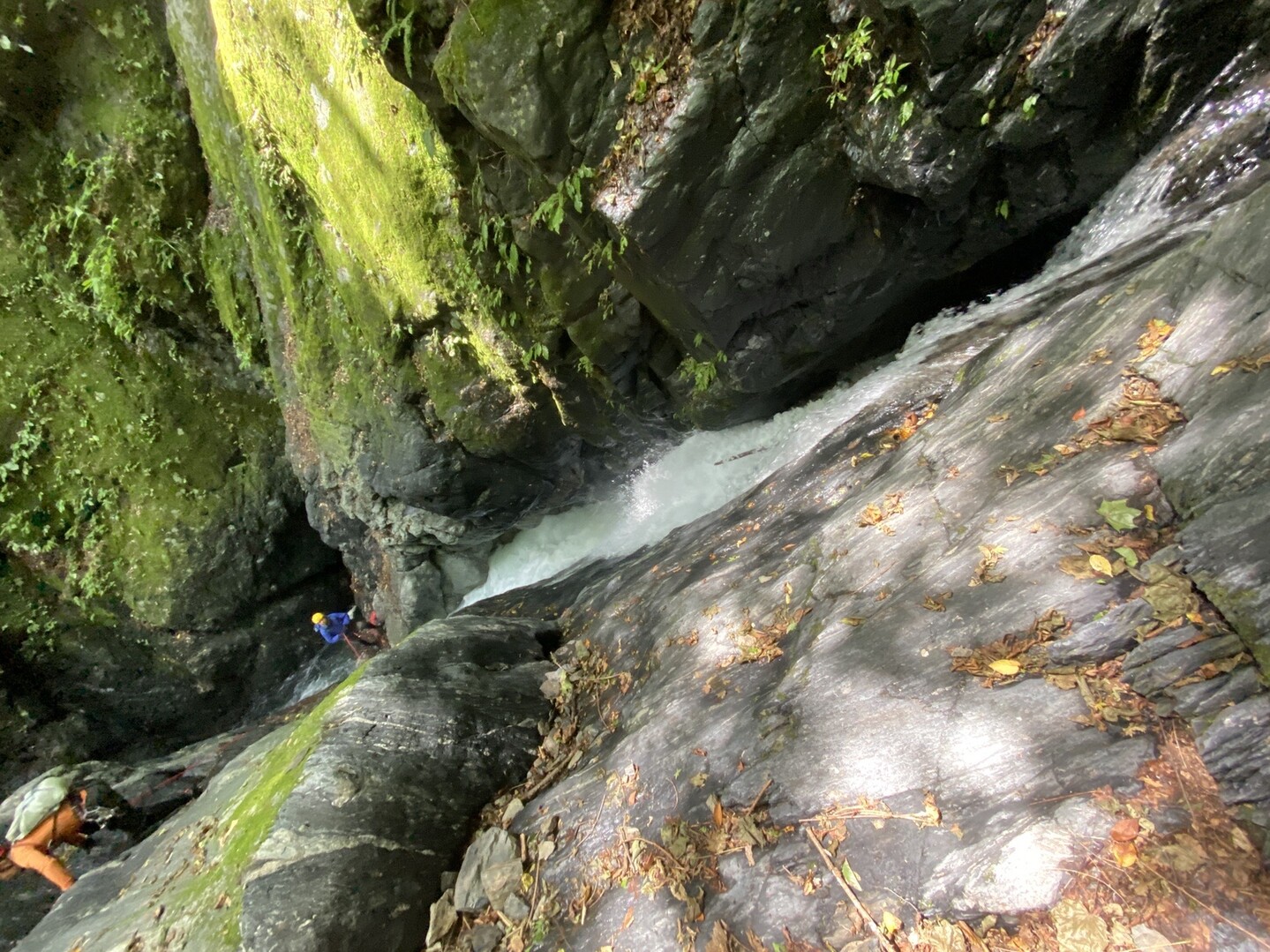 【水根沢】爽やか沢day / T.Haradaさんの雲取山・鷹ノ巣山・七ツ石山の活動データ | YAMAP / ヤマップ