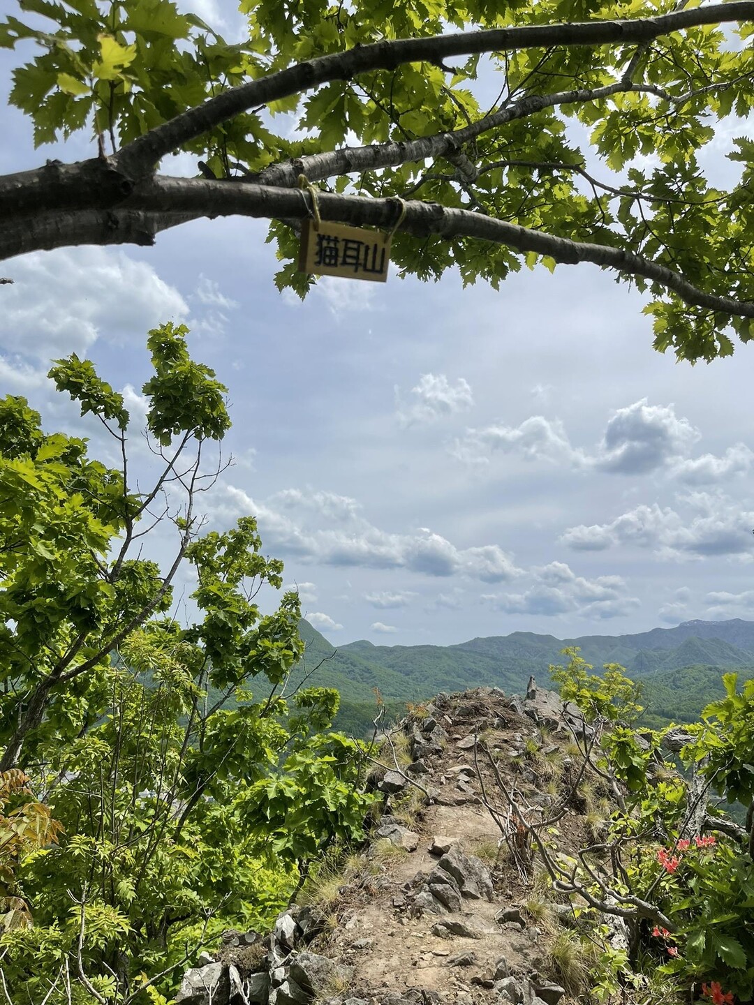 猫耳山 / D51(デコイチ)さんの観音岩山（八剣山）の活動データ | YAMAP / ヤマップ