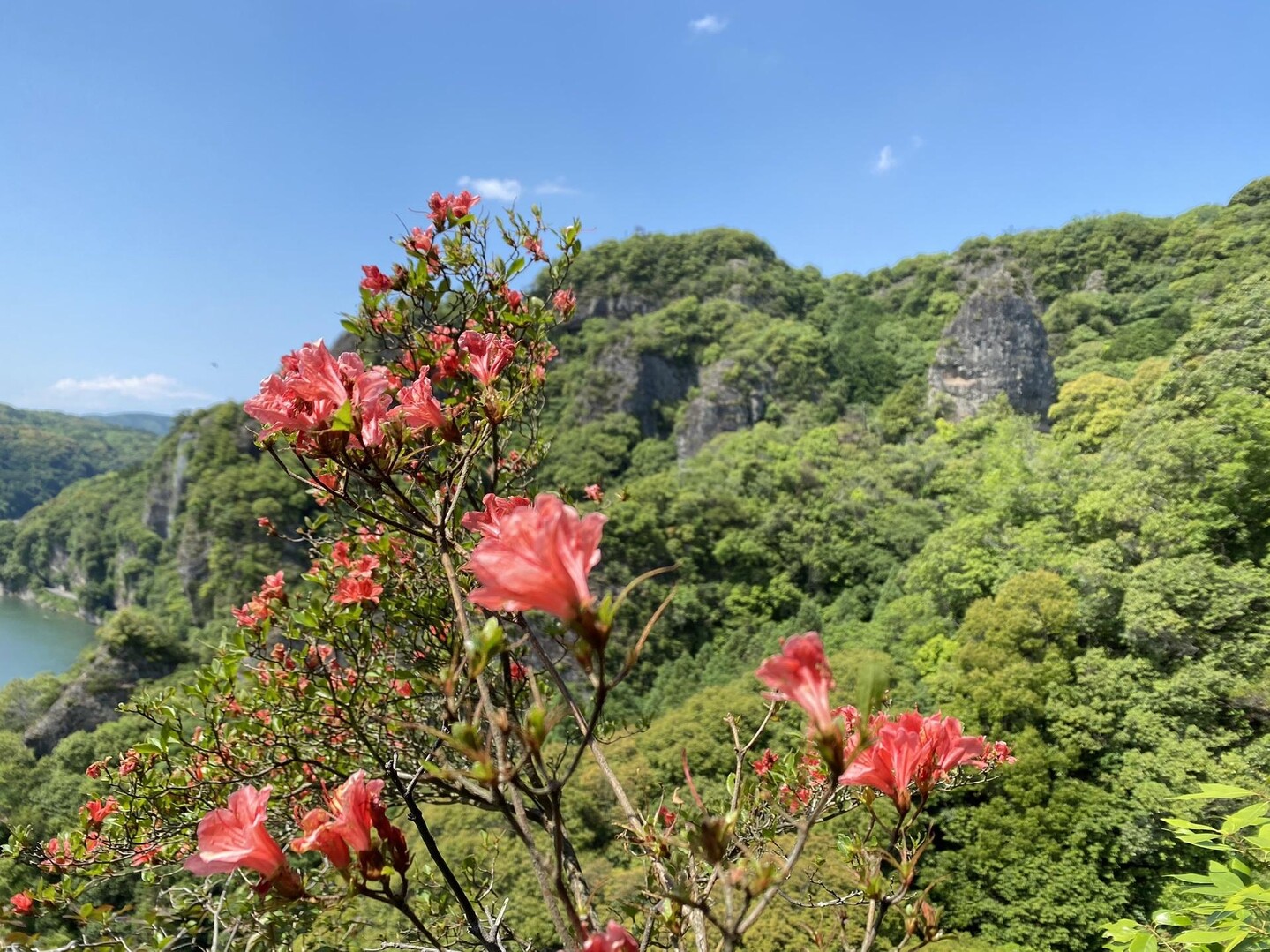 青の洞門・競秀峰、GOOD‼️ / ⛰️しんシン⛰️さんの青の洞門・競秀峰の活動データ | YAMAP / ヤマップ