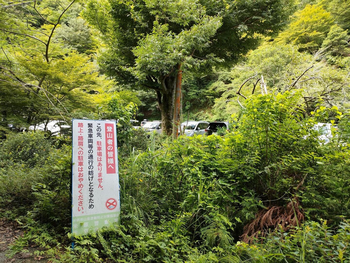 matahari88さんの投稿したフィールドメモ | YAMAP / ヤマップ