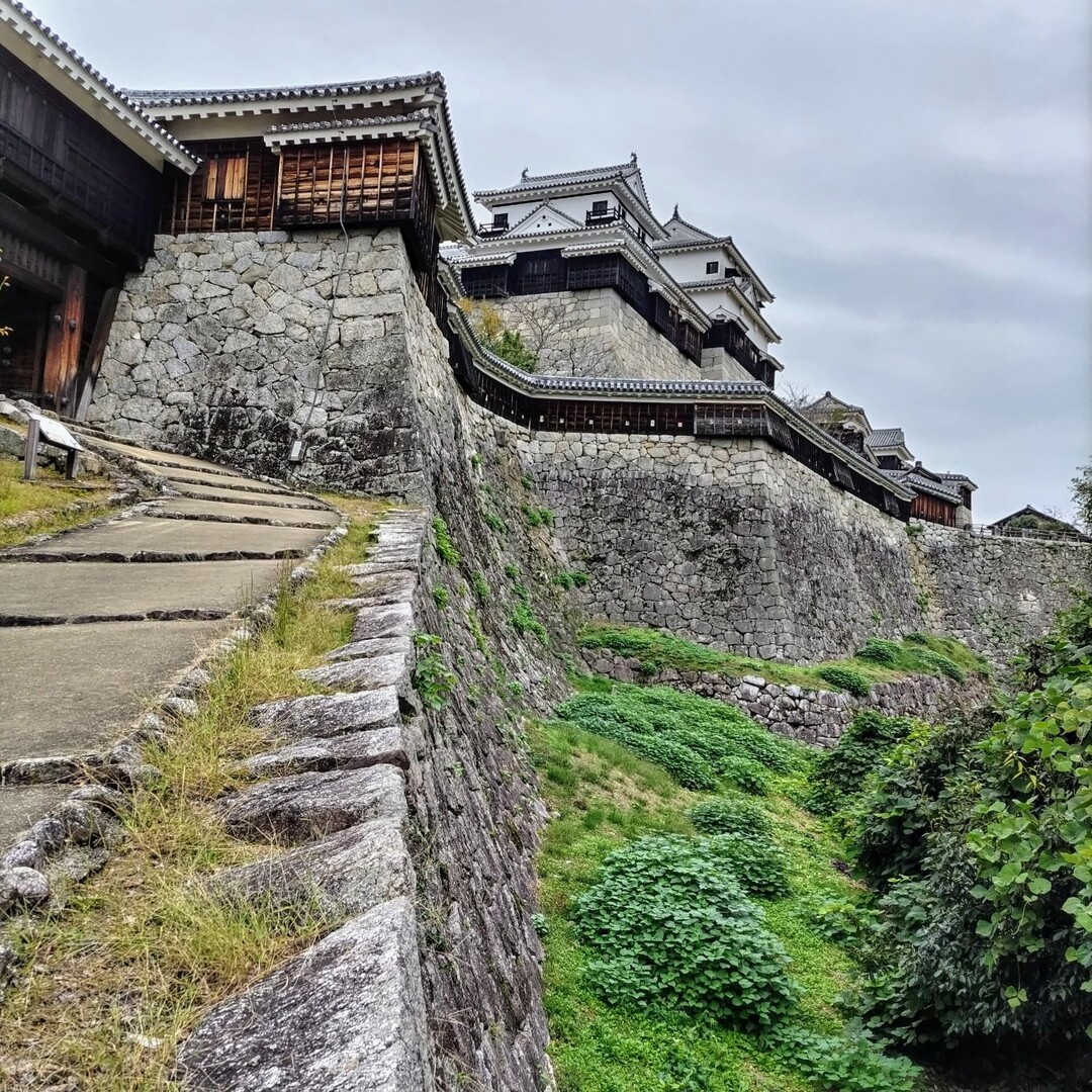 活動日記100件目は松山城 / kamatyさんの勝山（松山城）の活動データ | YAMAP / ヤマップ