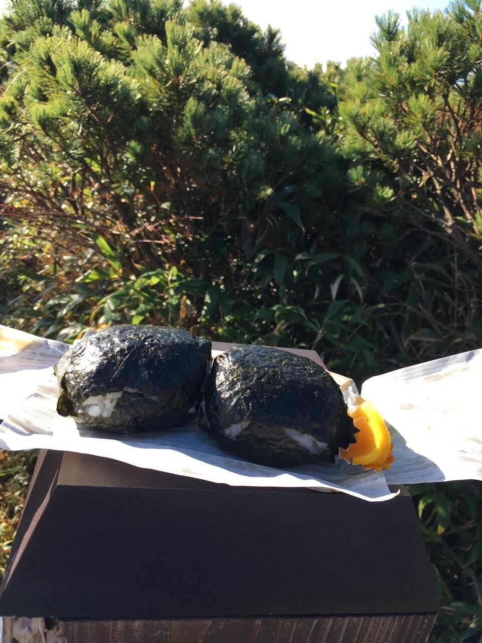 Rei-chanのページ | YAMAP / ヤマップ