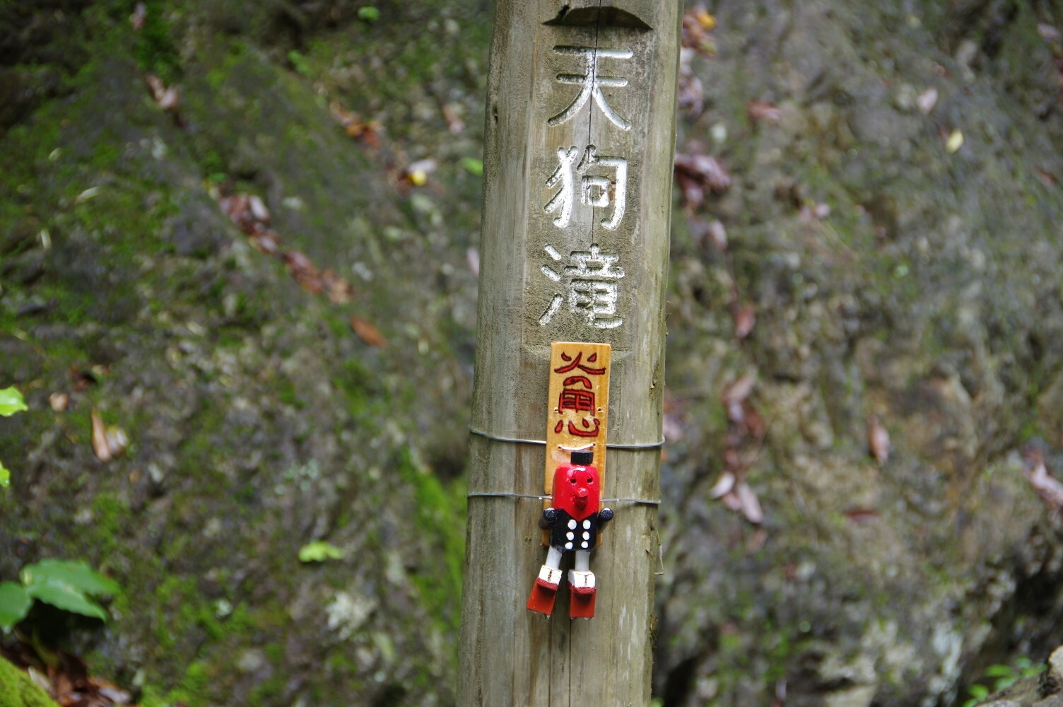 檜原村の滝巡り / muugさんの大岳山・御岳山・御前山の活動データ | YAMAP / ヤマップ