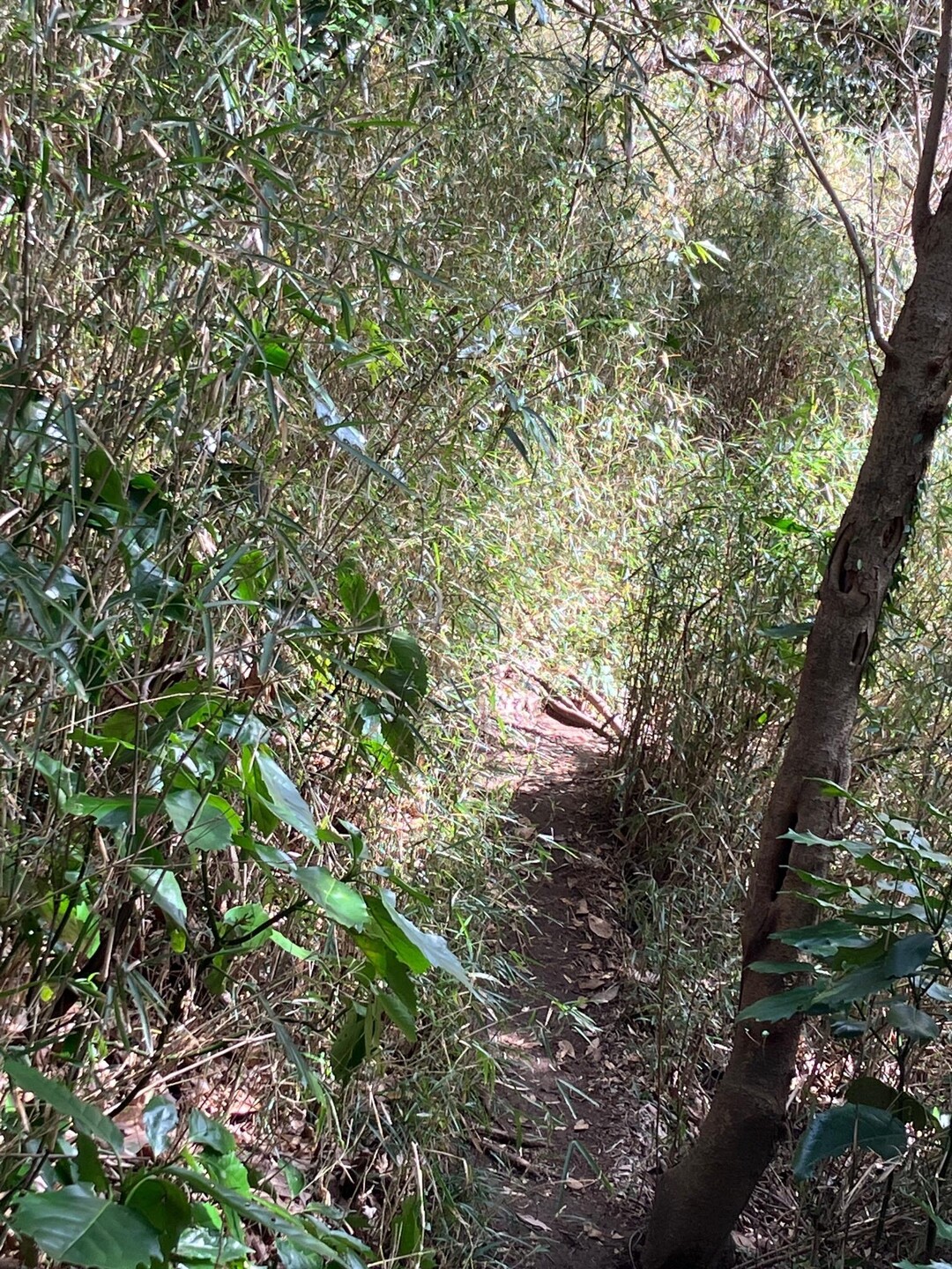 p_sonさんの投稿したフィールドメモ | YAMAP / ヤマップ