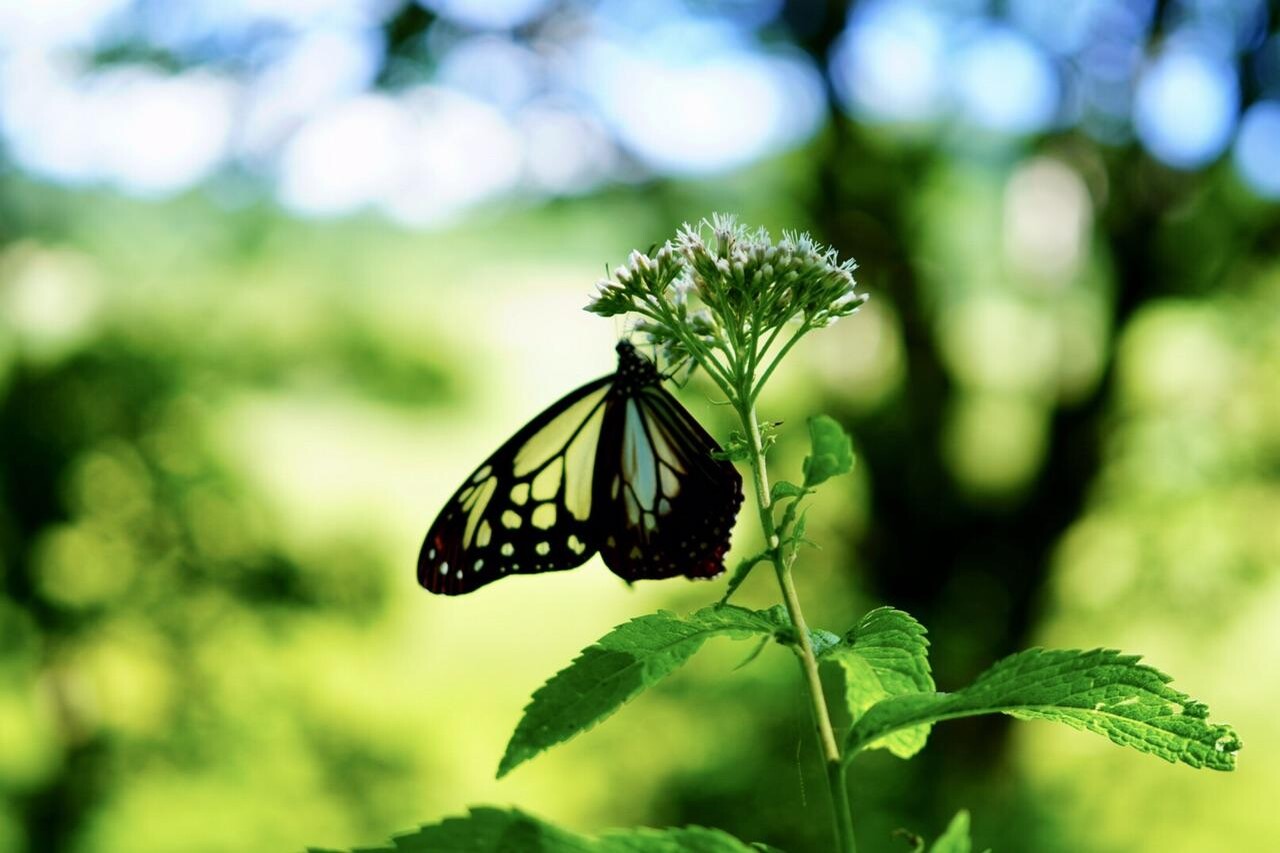 ma-sa-kiのページ | YAMAP / ヤマップ