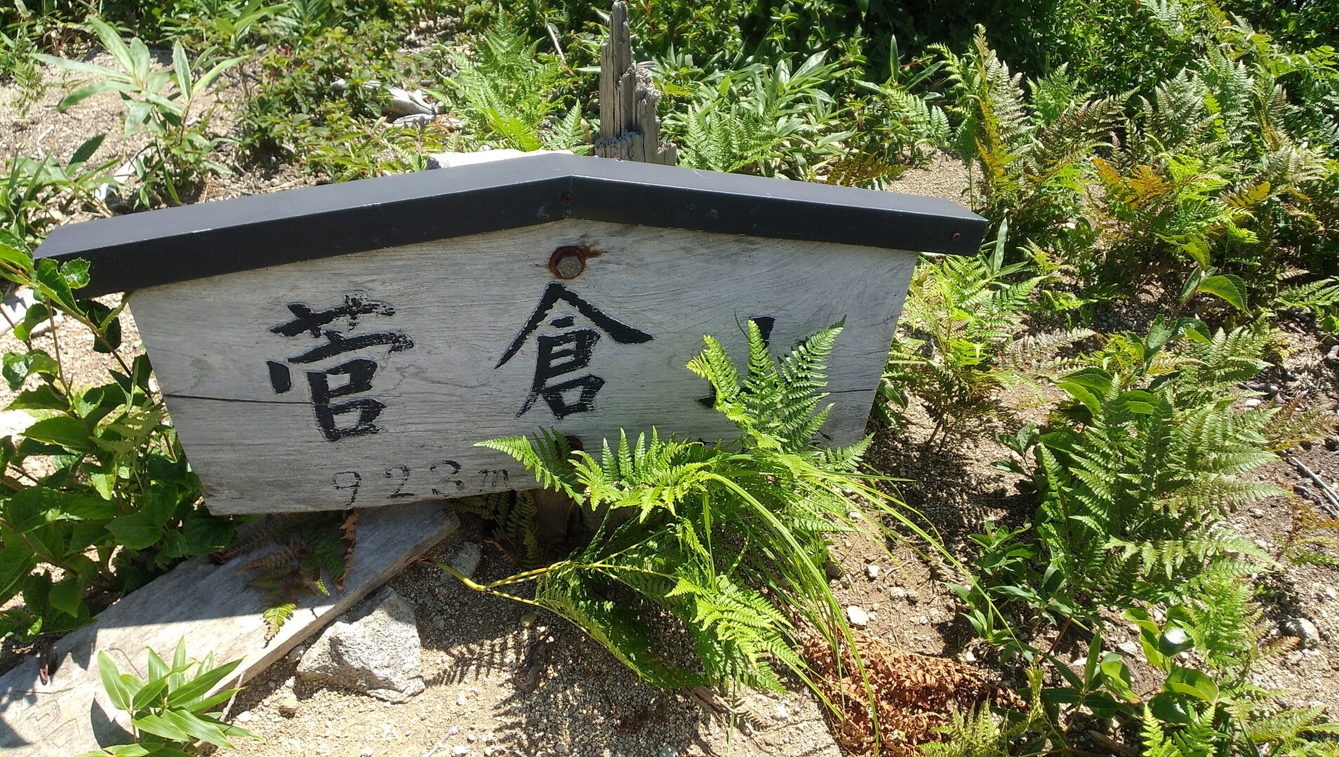 真夏の菅倉山は / opal糸さんの富士写ヶ岳・小倉谷山・火燈山の活動データ | YAMAP / ヤマップ