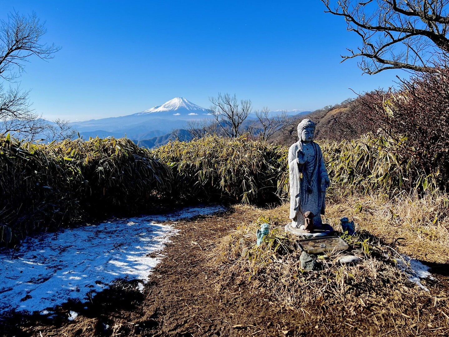 リベンジ塔ノ岳・大倉〜塔ノ岳〜丹沢山 / ni-sanさんの塔ノ岳・丹沢山・蛭ヶ岳の活動データ | YAMAP / ヤマップ