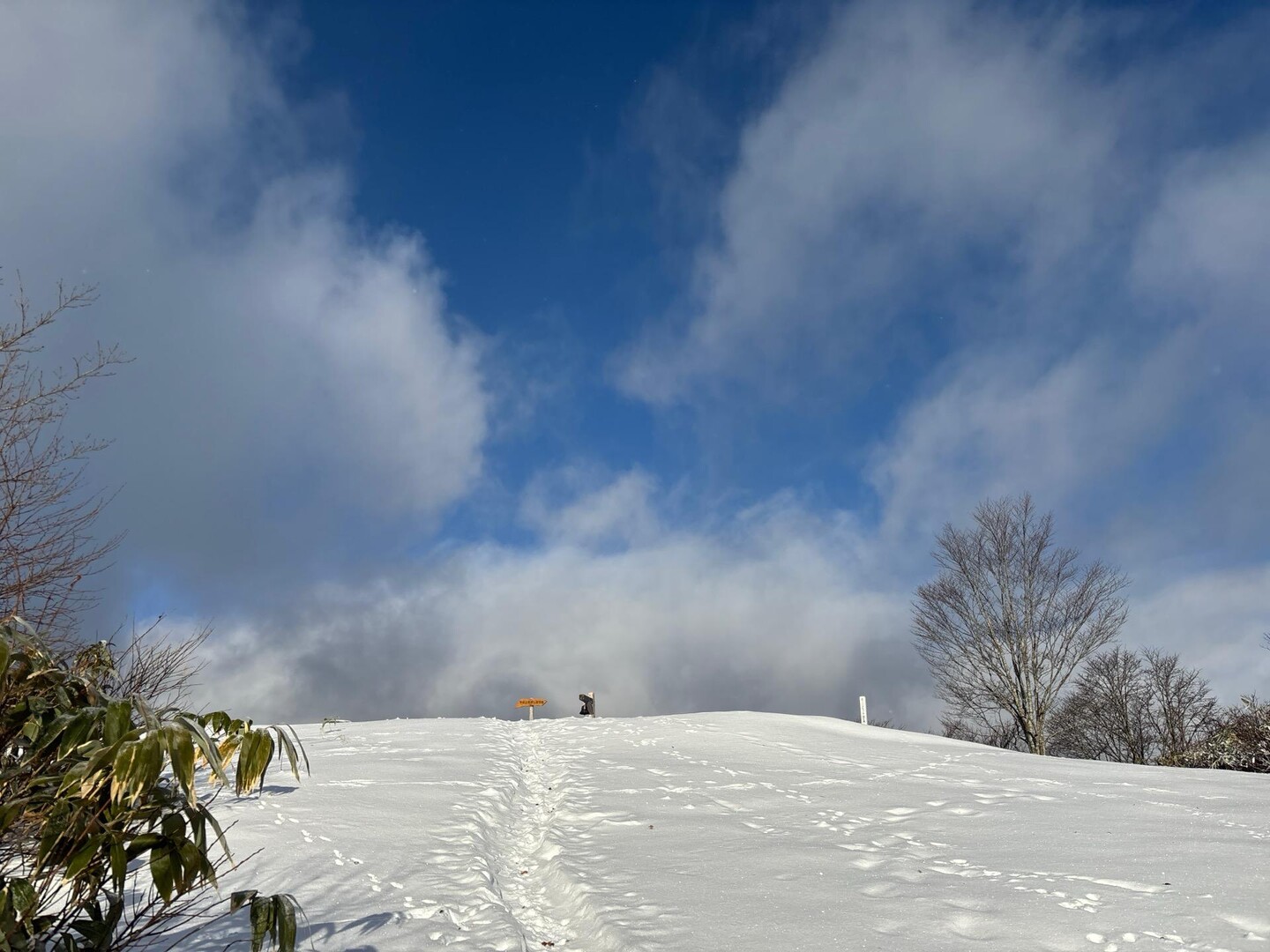 東根山歩 2024.12.12 / JJさんの南昌山・東根山・箱ヶ森の活動データ | YAMAP / ヤマップ