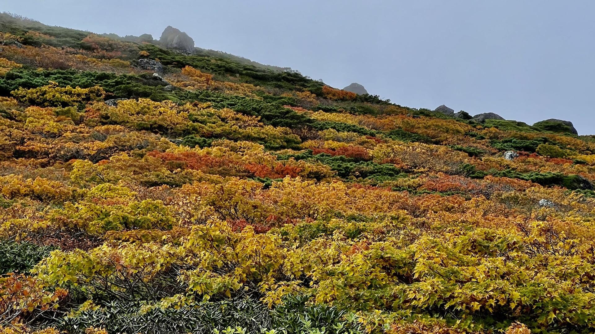 月山 / makotoさんの月山の活動データ | YAMAP / ヤマップ