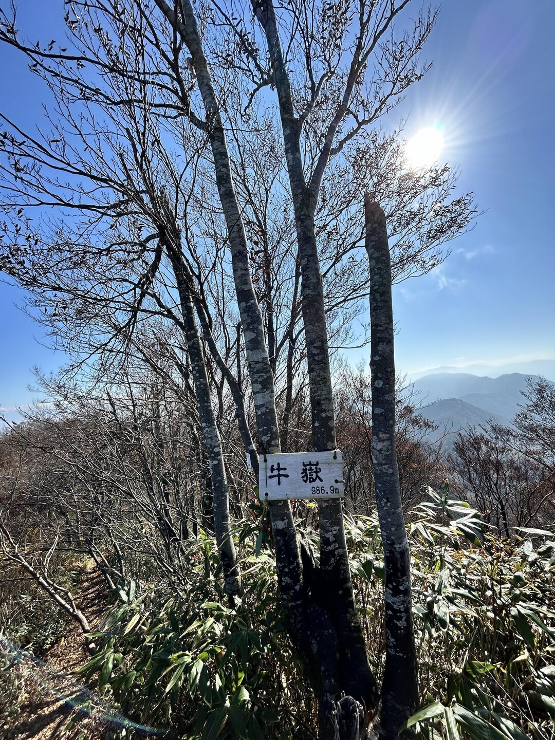 振り返り用:牛岳（西峰） / 𝕒𝕟-𝕔𝕠𓆺𖤓さんの牛岳の活動データ | YAMAP / ヤマップ