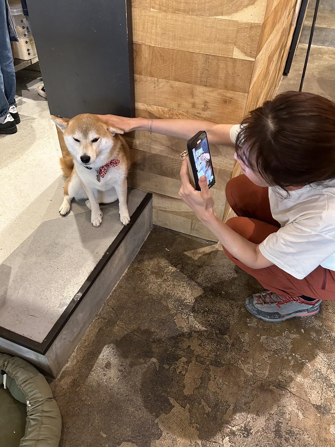六甲山〜柴カフェへ行く🐕 / itoさんの六甲山・長峰山・摩耶山の活動データ | YAMAP / ヤマップ
