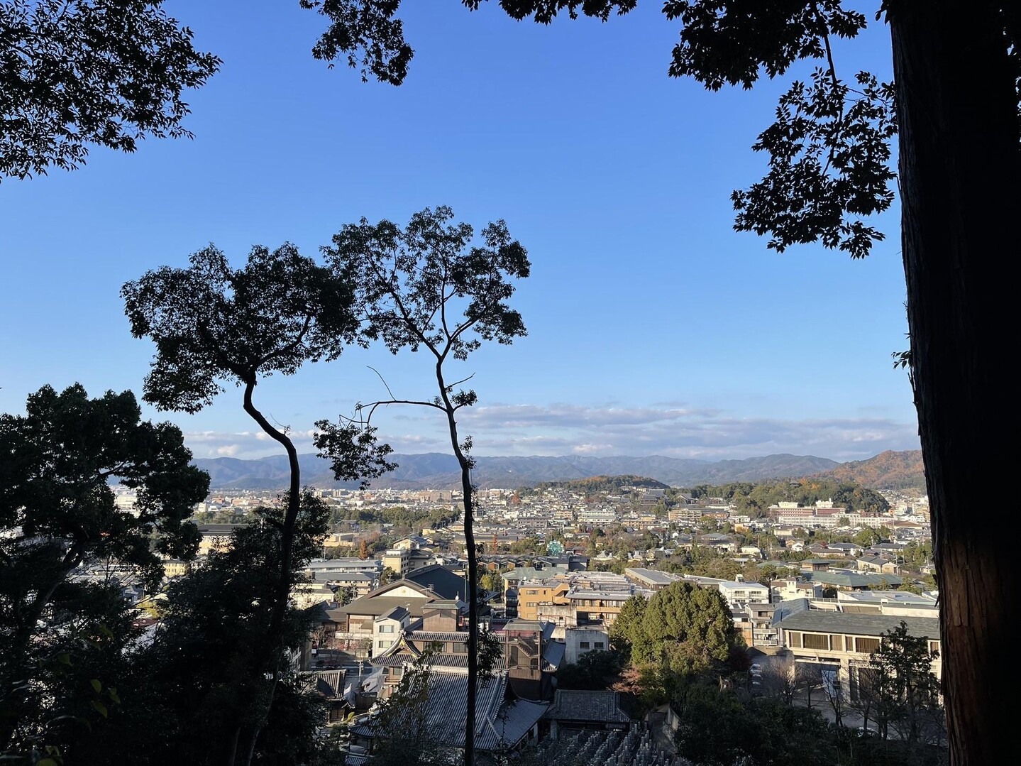 今熊野山・清閑寺山・清水山・東山 / moomin33さんの京都一周トレイルの活動データ | YAMAP / ヤマップ