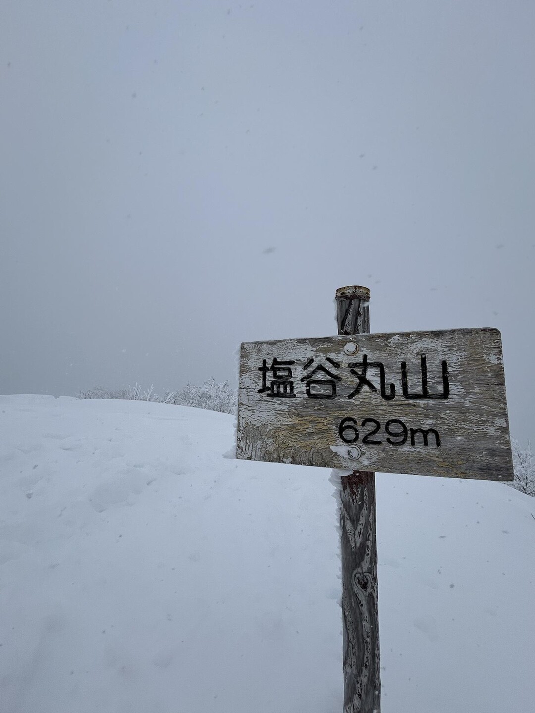 塩谷丸山-2 / yuki_iroさんの塩谷丸山・於古発山の活動データ | YAMAP / ヤマップ