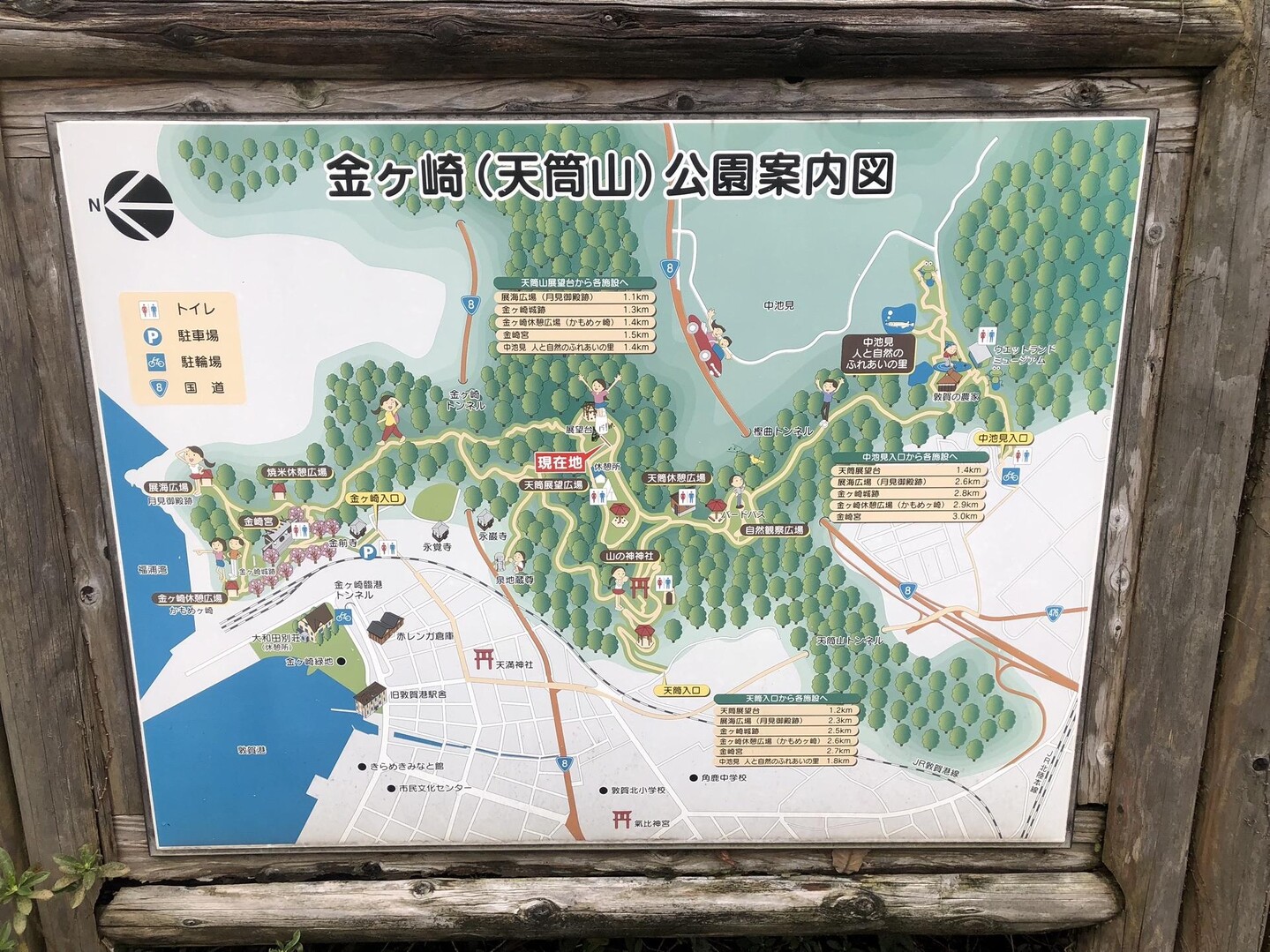 金ヶ崎〜天筒山〜中池見湿地 2023-03-25 / KYOさんのウォーキングの活動データ | YAMAP / ヤマップ