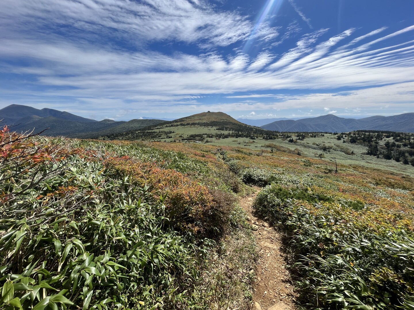 三ツ石・小畚山（滝ノ上往復） / GONさんの三ッ石山・大深岳・諸桧岳の活動データ | YAMAP / ヤマップ