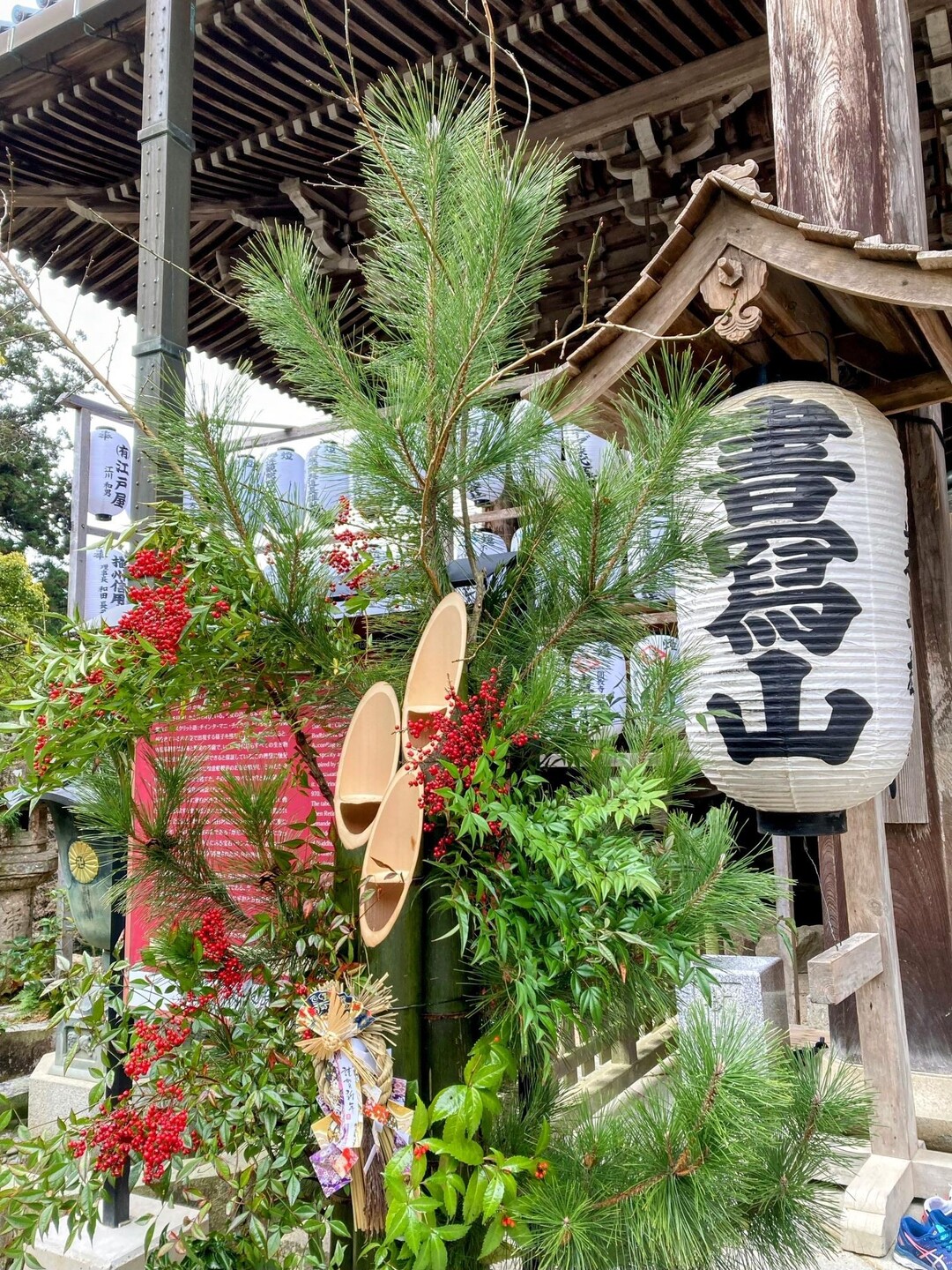 2024 First は書写ブラ🐉 / たーひー😜⛄️さんの書写山・伊勢山・とんがり山の活動データ | YAMAP / ヤマップ