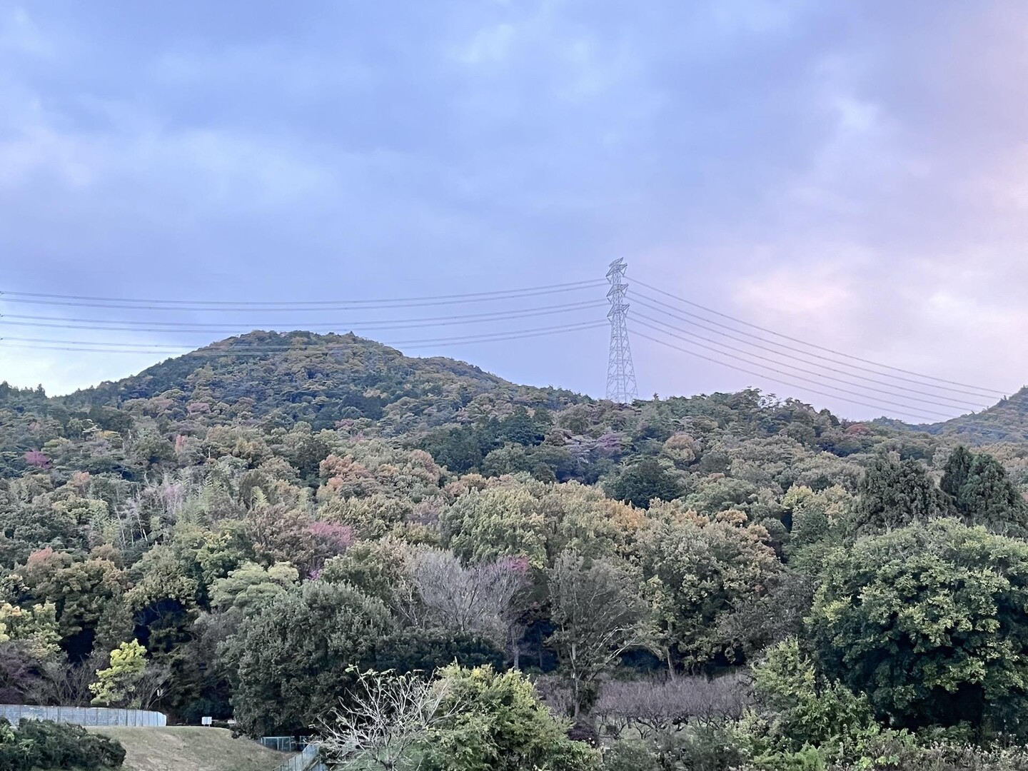 道樹山・大谷山・弥勒山101 / toruさんの春日井三山・弥勒山・大谷山・道樹山の活動データ | YAMAP / ヤマップ