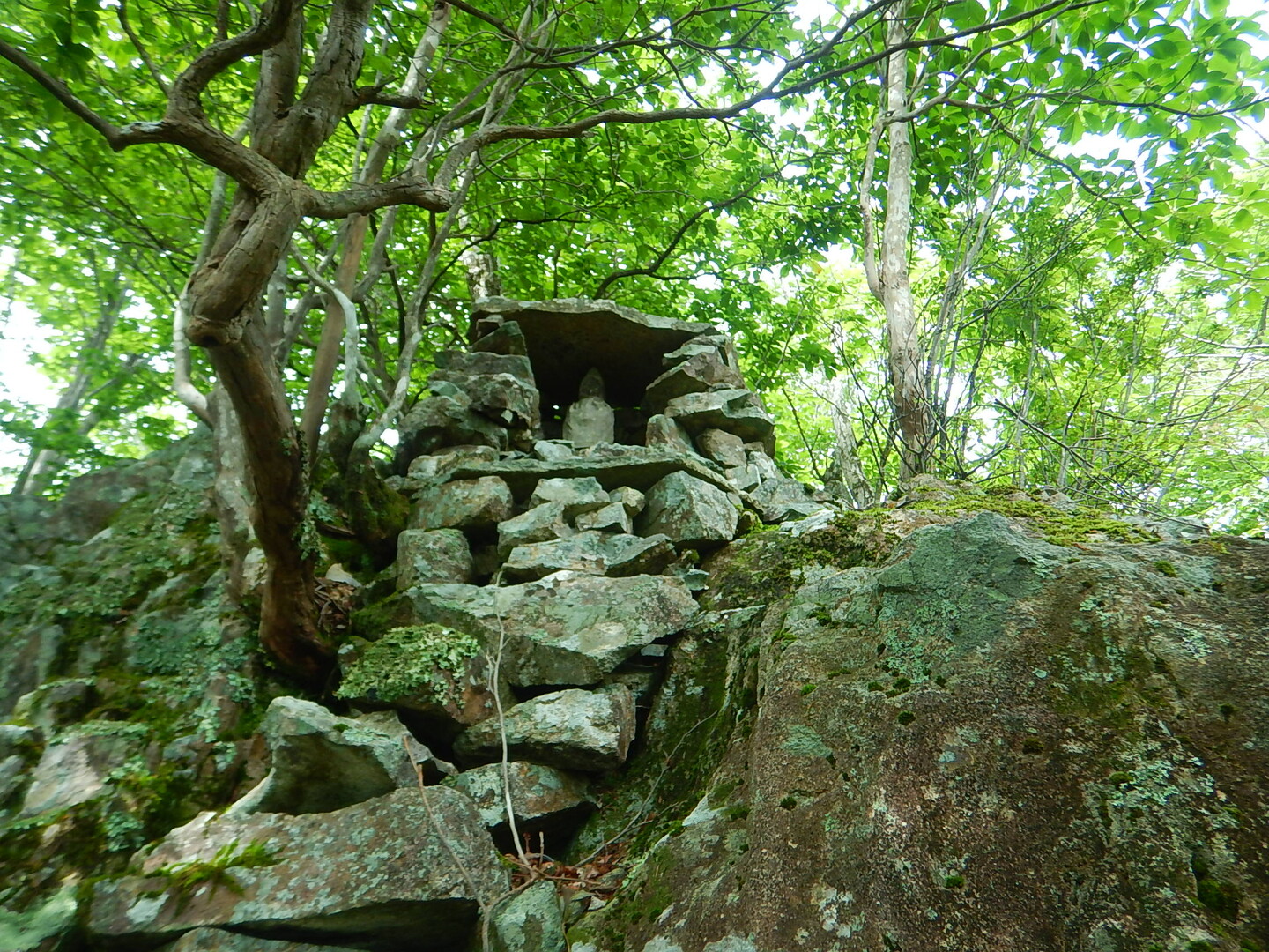 【飛騨】八尾山(1101m)倉洞(988m)奥茂谷(1083m)若佐洞(928m)ひば尾(999.9m)板山(985m) / もりさとさんの簗谷山の活動日記 | YAMAP / ヤマップ