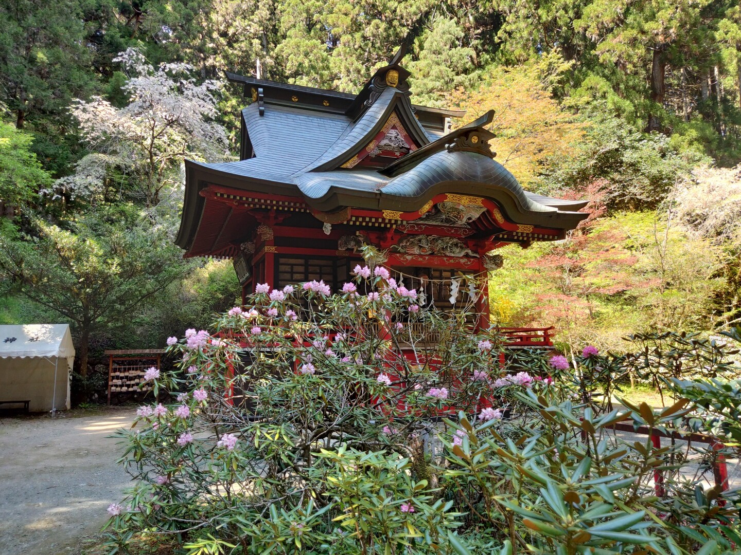 奥の院峰・栄蔵室・花園山を歩く！ / shibakinさんの栄蔵室・花園山の活動データ | YAMAP / ヤマップ