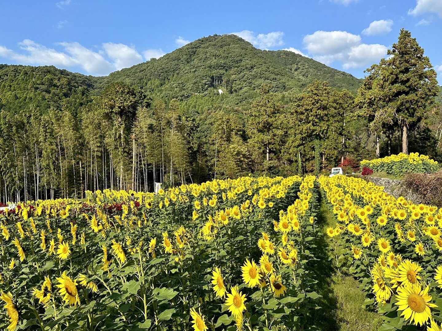 佐賀の名低山 鷹取山 / ヒデさんの鎮西山・鷹取山の活動データ | YAMAP / ヤマップ