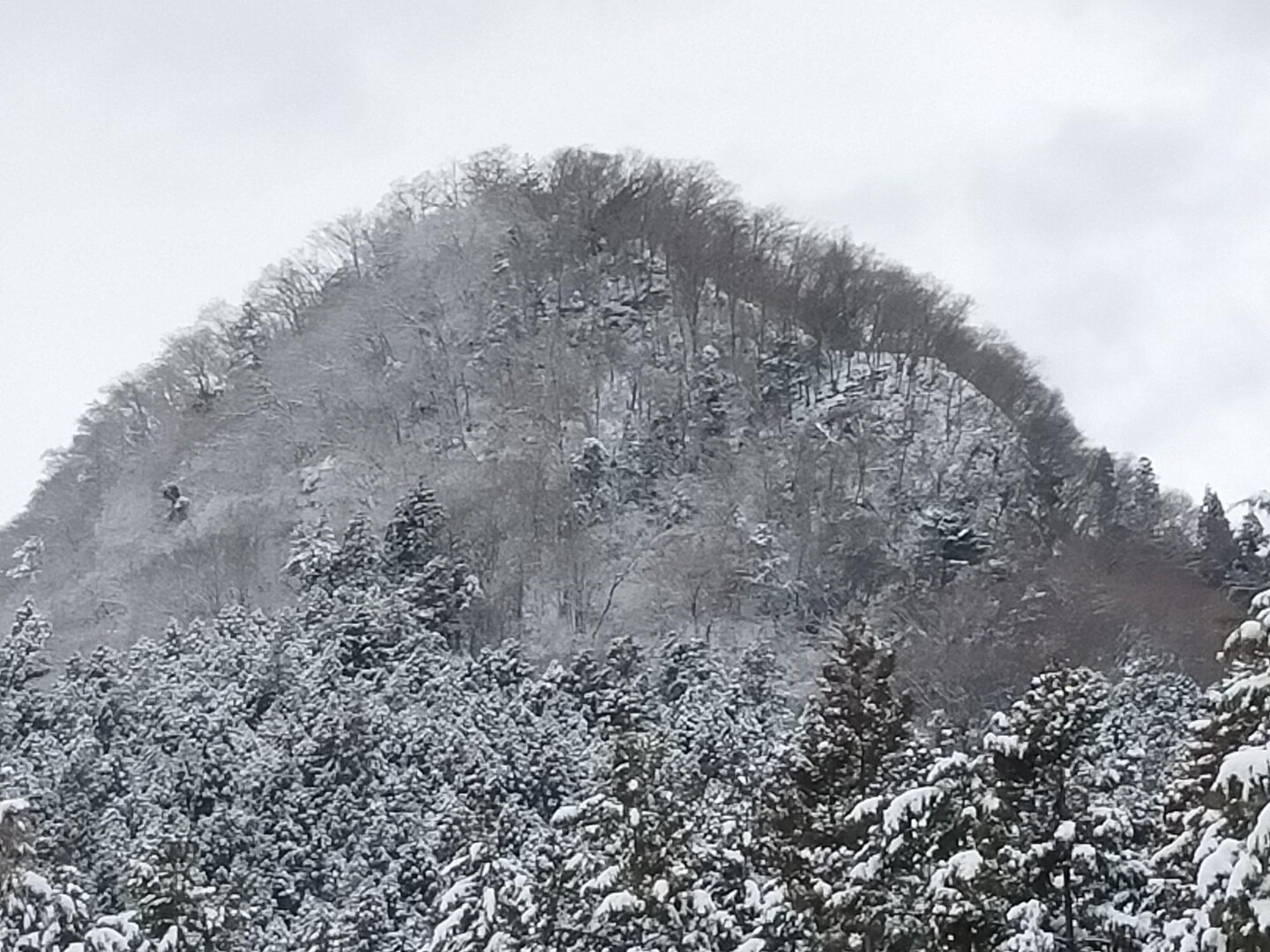 雪の太白山 / sugar marchさんの太白山・萱ヶ崎山・蕃山の活動データ | YAMAP / ヤマップ