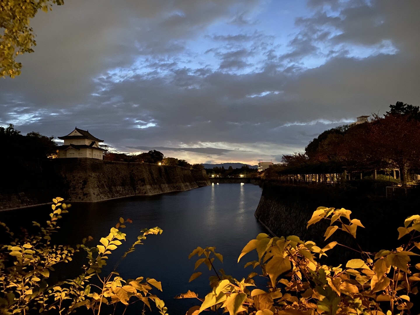 DOMO稼ぎ♪早朝スロージョギング⓷ / mattさんの大阪市の活動データ | YAMAP / ヤマップ