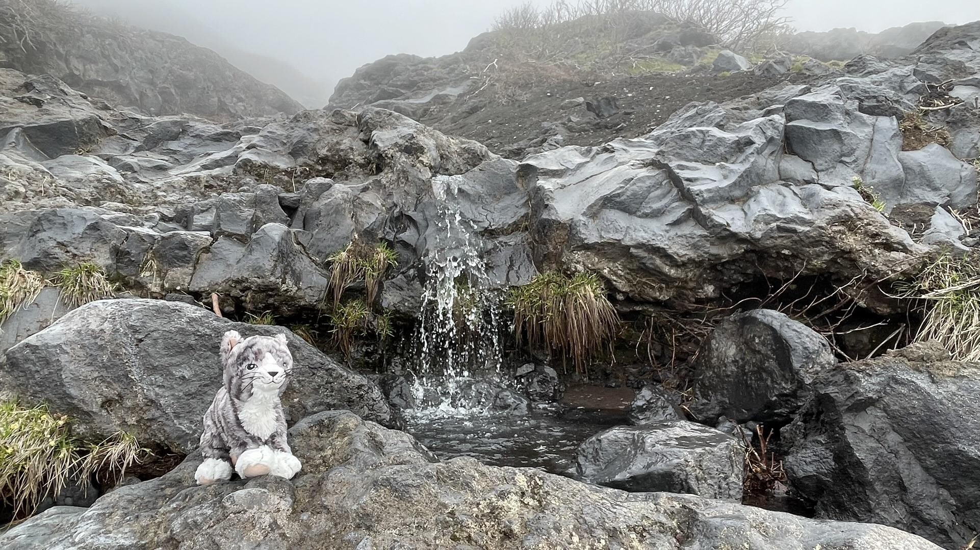 須走登山口からまぼろしの滝リベンジ / pickji28さんの富士山の活動データ | YAMAP / ヤマップ