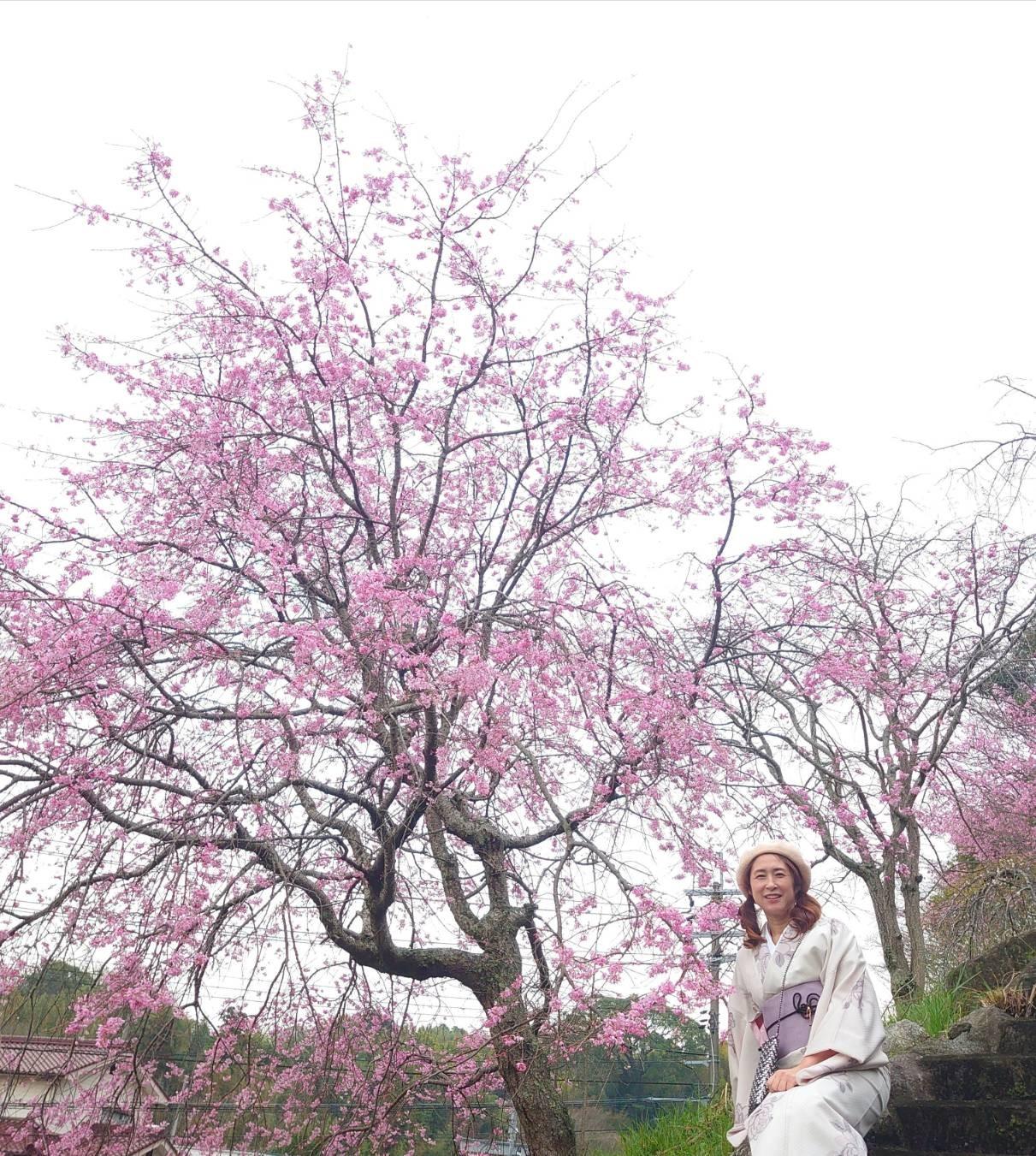 天気はイマイチだけど 春満喫の一日でした... / えだっちさんのモーメント | YAMAP / ヤマップ