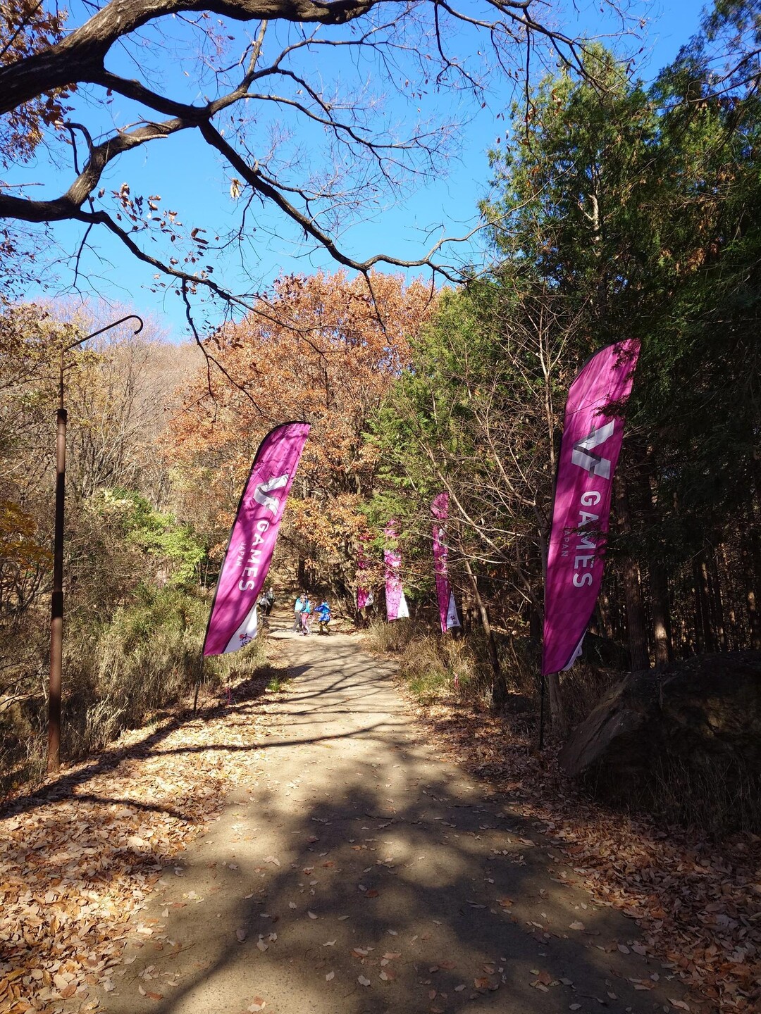 第二回 吾妻山登山競争ボランティア / ta2さんの鳴神山・吾妻山の活動データ | YAMAP / ヤマップ