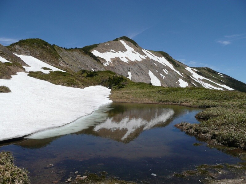 別山-2007-6-19 / ibizouさんの白山・別山・銚子ヶ峰の活動データ | YAMAP / ヤマップ
