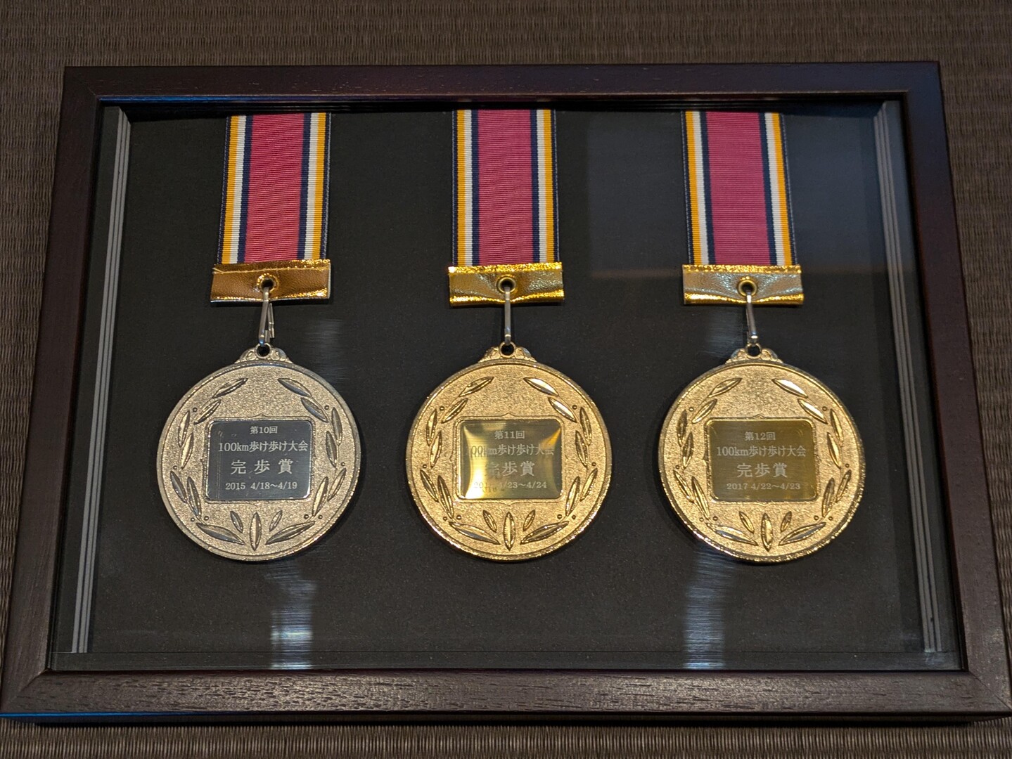 北関東三大100kmウォーク完歩証(30... / terjeさんのモーメント | YAMAP / ヤマップ