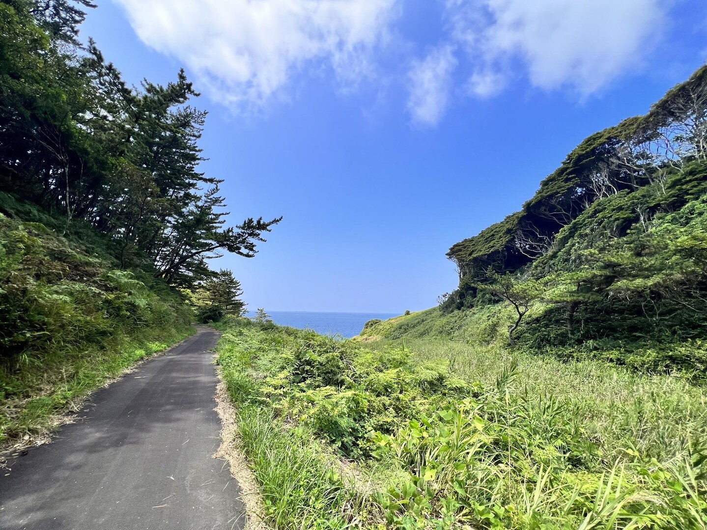 みちのく潮風トレイル Day 3 石巻駅～田代島 / ZUNさんの金華山・牡鹿半島の活動データ | YAMAP / ヤマップ