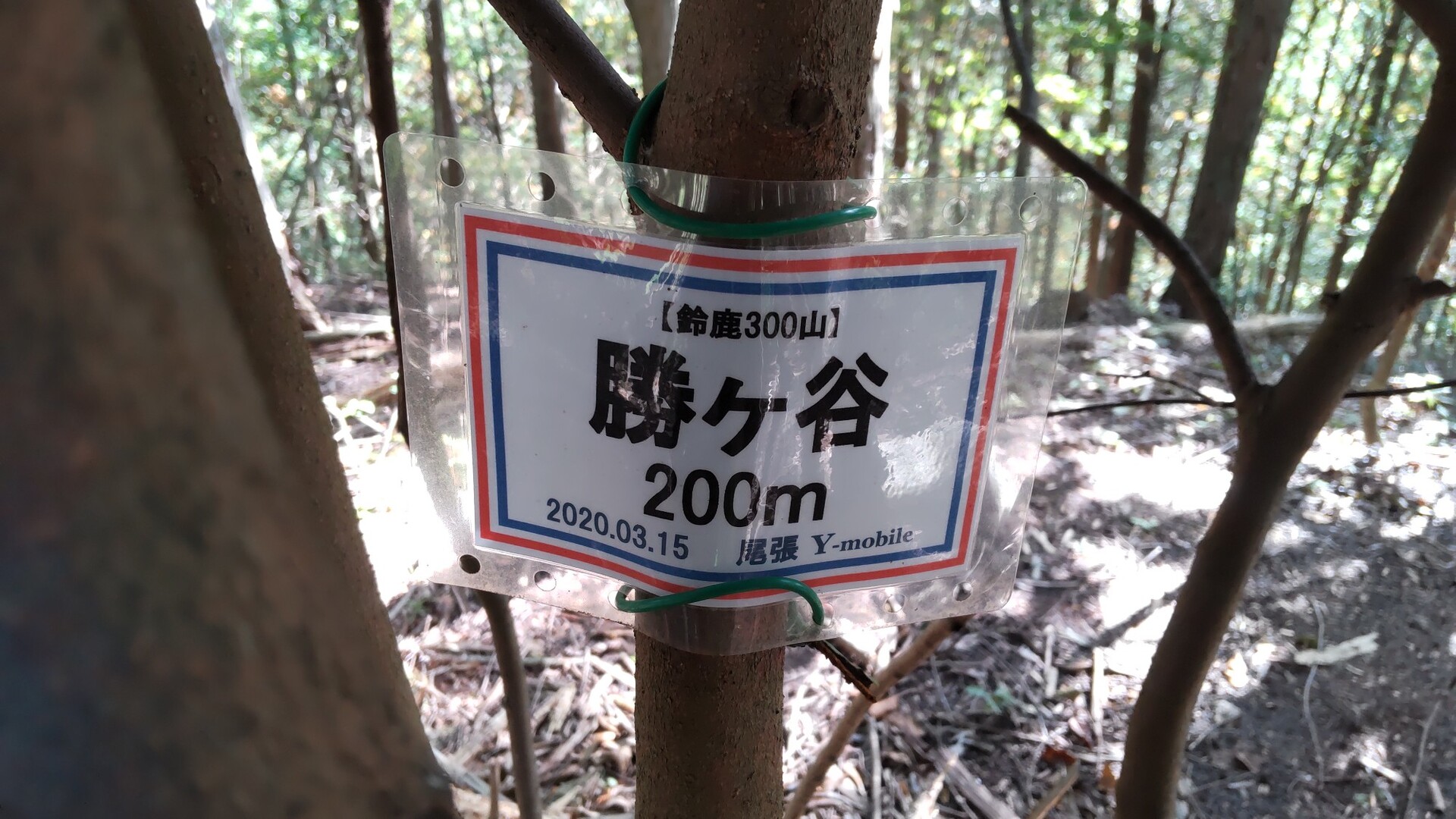 平井・市之瀬・勝ヶ谷・川東 / takawestさんの登山の活動データ | YAMAP / ヤマップ