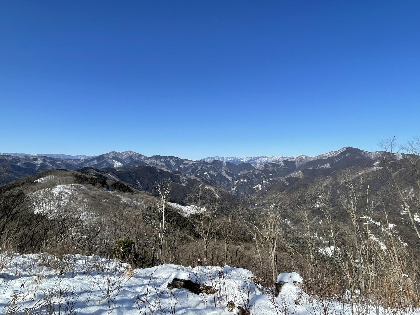 檜原村役場〜三頭山 DNF / みつみつさんの浅間嶺・松生山の活動データ | YAMAP / ヤマップ