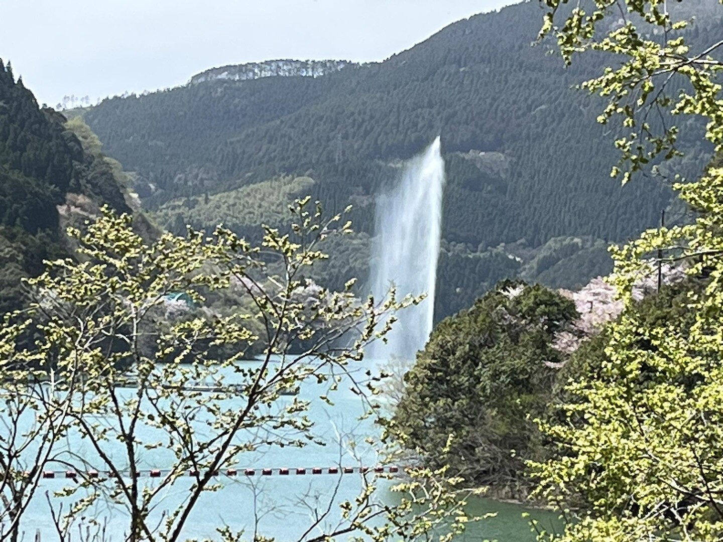 市房山⛰と観桜🌸の旅 / chiitaさんの市房山の活動日記 | YAMAP / ヤマップ