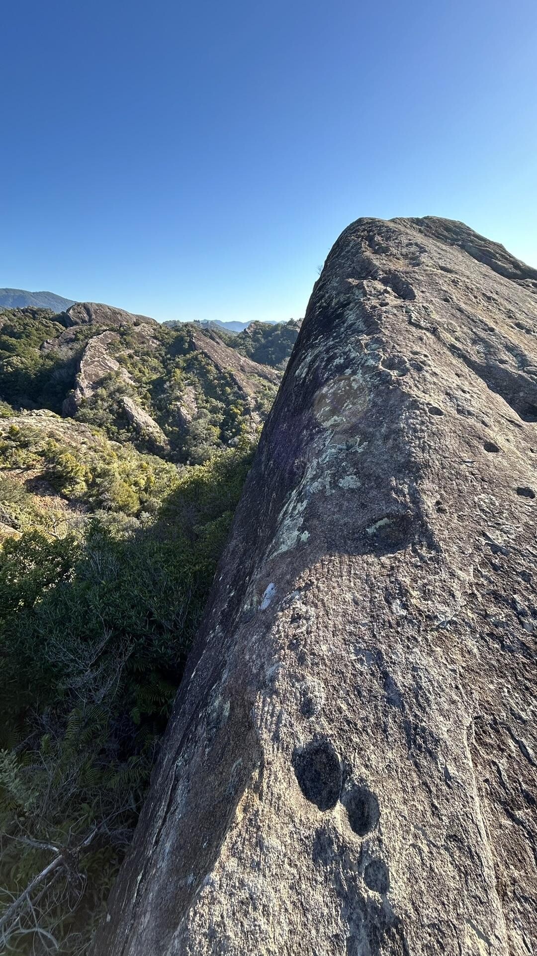 田辺市 ひき岩群 / Goさんの田辺市・高尾山・龍神山・奇絶峡の活動データ | YAMAP / ヤマップ