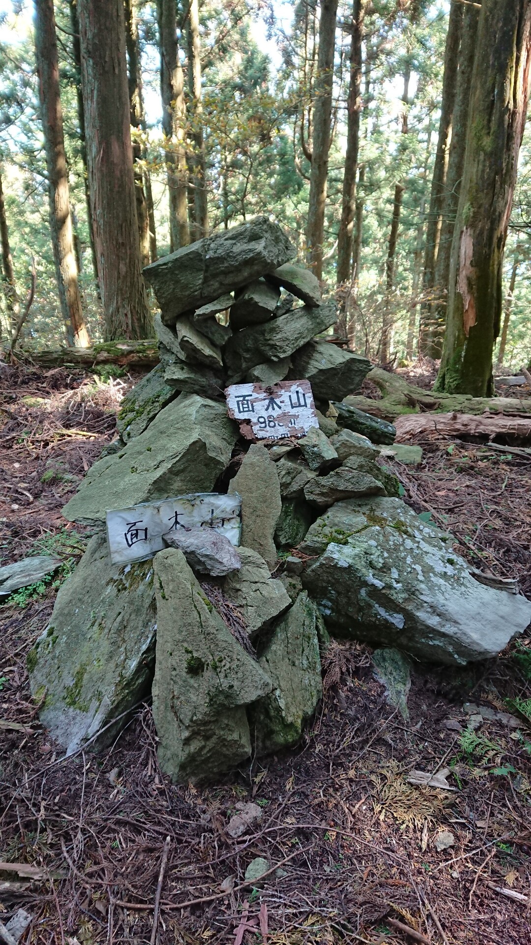 面木山(おものきやま)標高988m / おおねこさんの石鎚山・堂ヶ森・二ノ森の活動日記 | YAMAP / ヤマップ