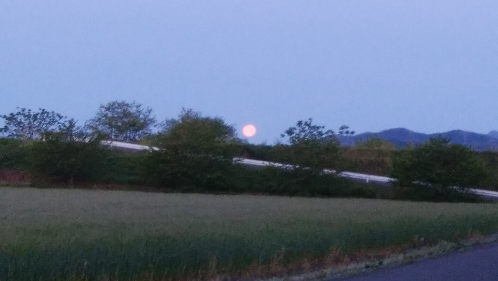 たった今。 おもしろい現象が ... / opal糸さんのモーメント | YAMAP / ヤマップ