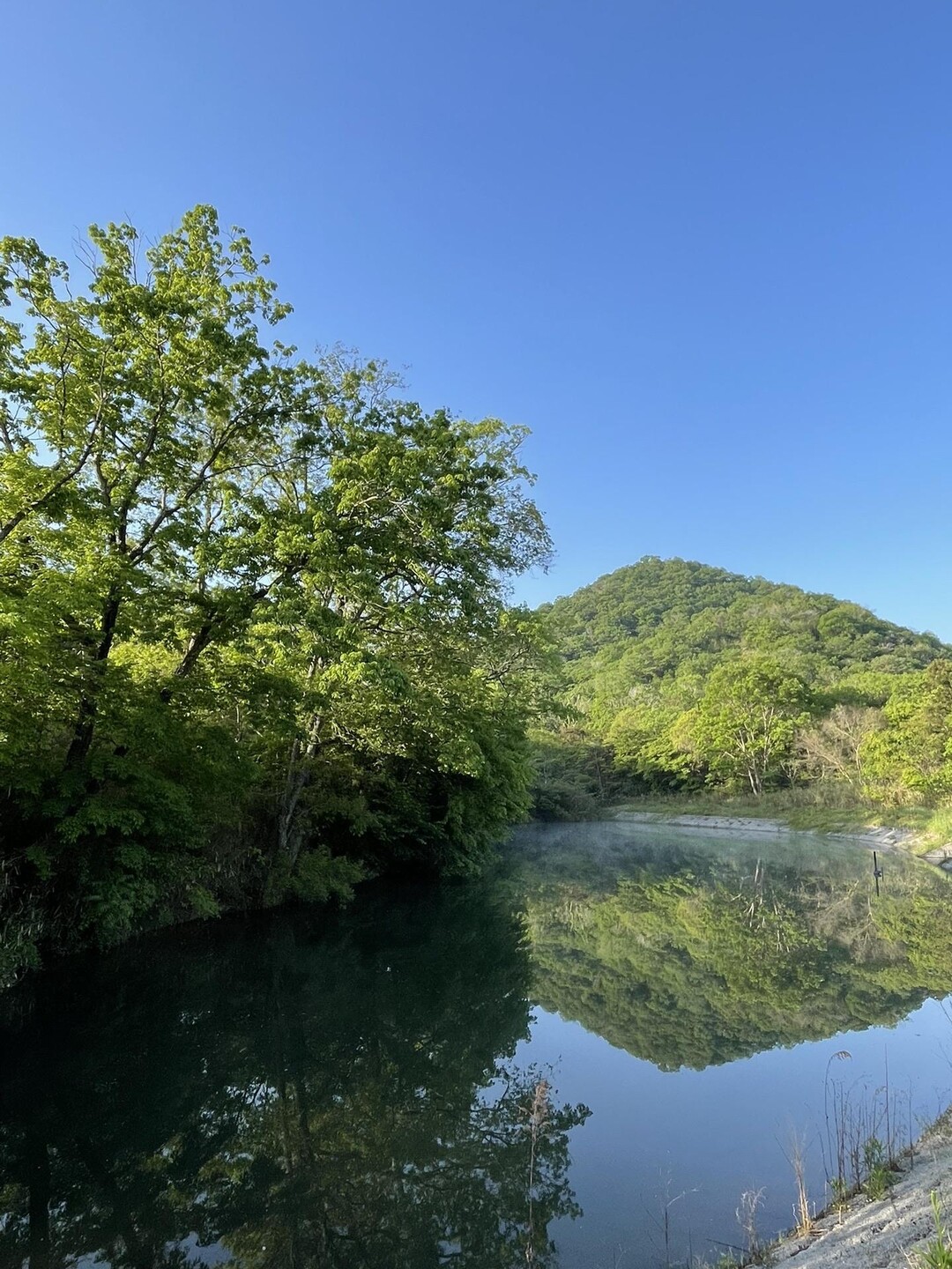 0504みどりいっぱい アンテナ山・惣山(小野富士) / ゆうちゃんさんの三草山の活動データ | YAMAP / ヤマップ