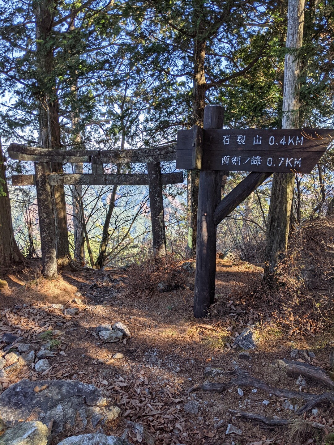 saiさんの投稿したフィールドメモ | YAMAP / ヤマップ